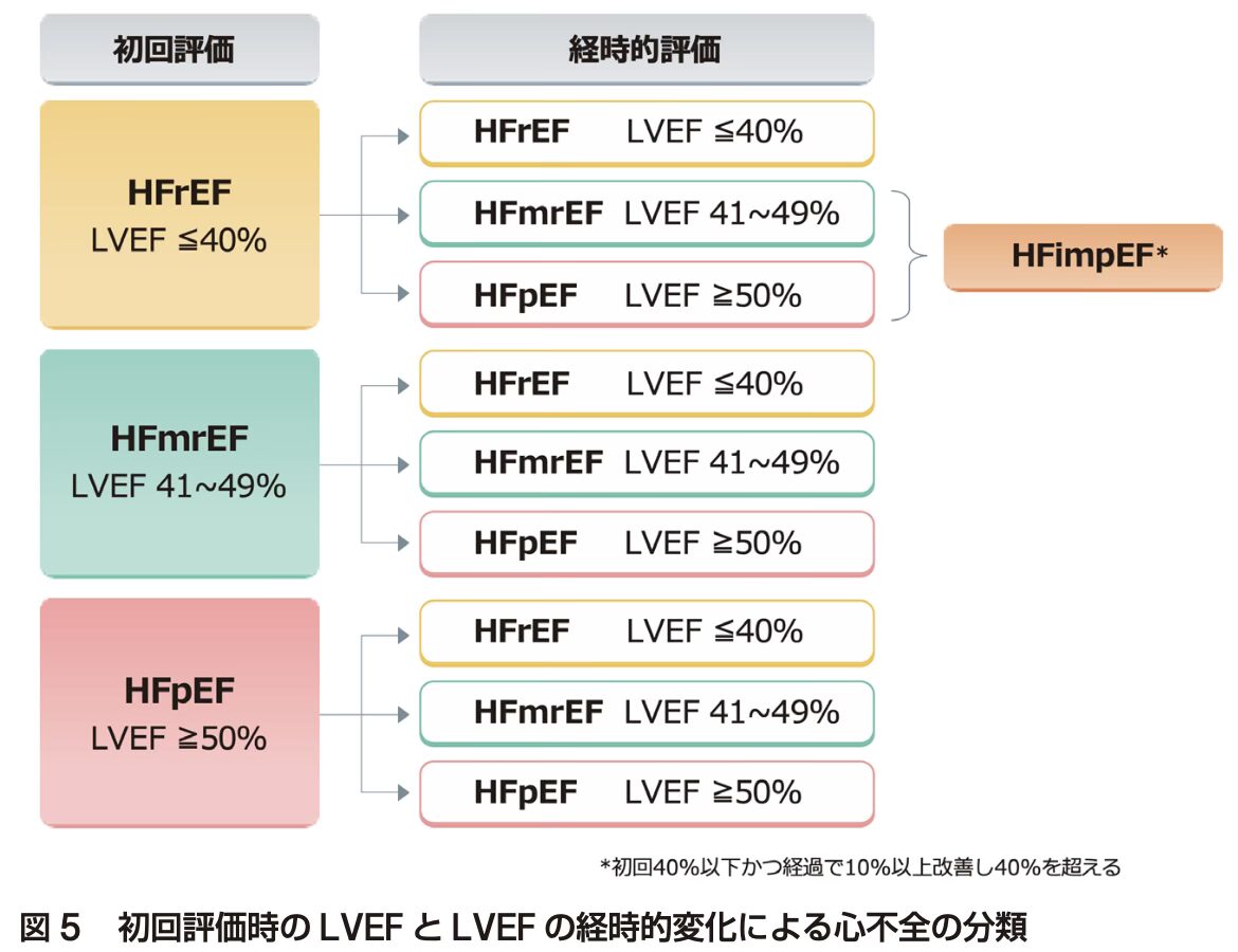 心不全診療ガイドライン2025年版：主要改訂ポイントと実臨床への影響 - well taka
