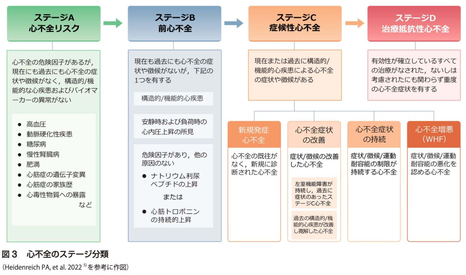 心不全診療ガイドライン2025年版：主要改訂ポイントと実臨床への影響 - well taka